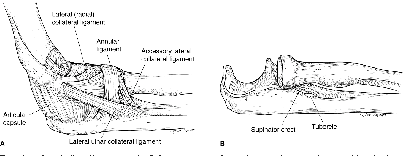 The ArmDoc - Lateral Collateral Ligament Reconstruction of the Elbow