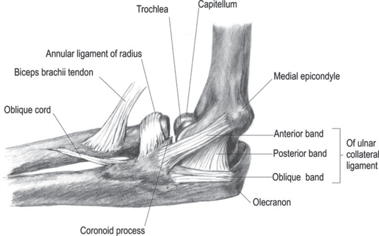The ArmDoc - Ulnar Collateral Ligament Reconstruction of the Elbow